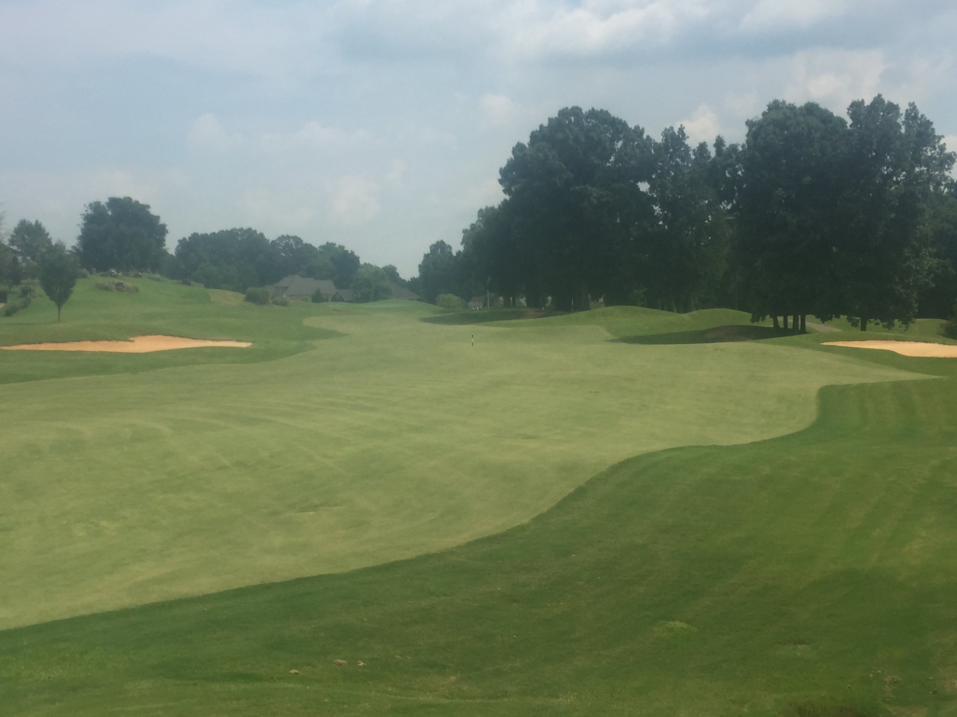 My Homepage - The Legacy