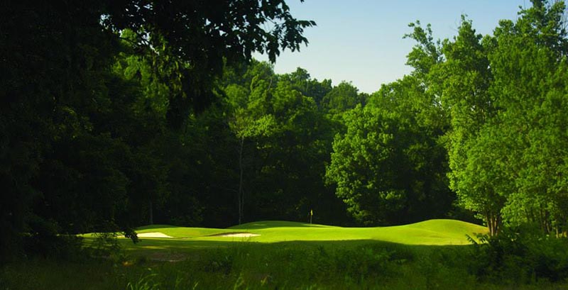 My Homepage - The Legacy